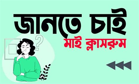 মার্কিন নির্বাচন ২০২৪। Usa Election 2024 My Classroom