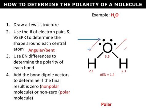 09 Polarity 2016