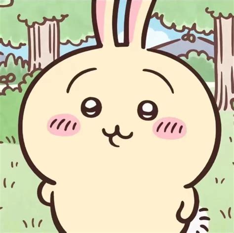 吉伊卡哇乌萨奇头像可爱单人图片配图网