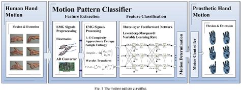 Figure 1 From A Novel Emg Motion Pattern Classifier Based On Wavelet Transform And Nonlinearity