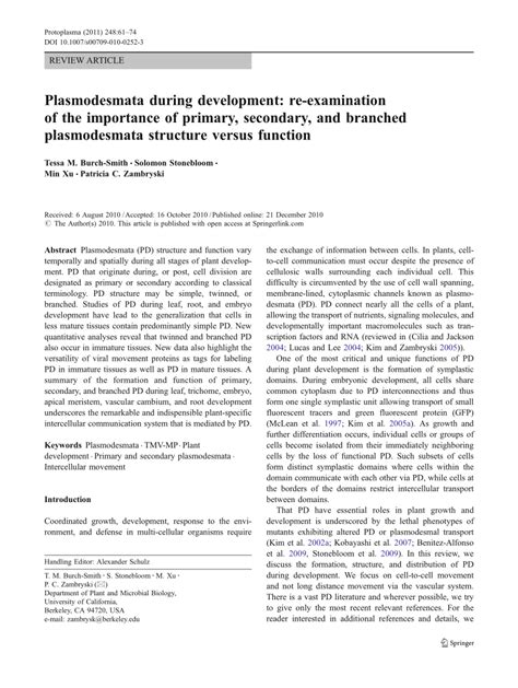 Pdf Plasmodesmata During Development Re Examination Of The Importance Of Primary Secondary
