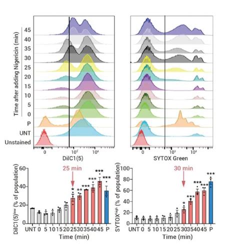 线粒体损伤：细胞炎性坏死 焦亡 的 不归路” Medchemexpress 脉脉