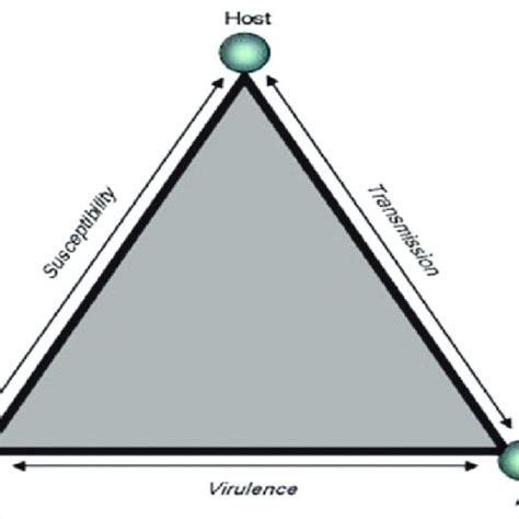 Epidemiological Triangle For The Disease Of Influenza Download