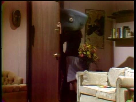 Snls Land Shark Saturday Night Live Snl Saturday Night Life