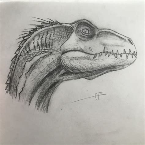 How To Draw Indoraptor Head