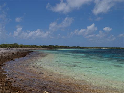 Ducie Atoll Tropical Islands