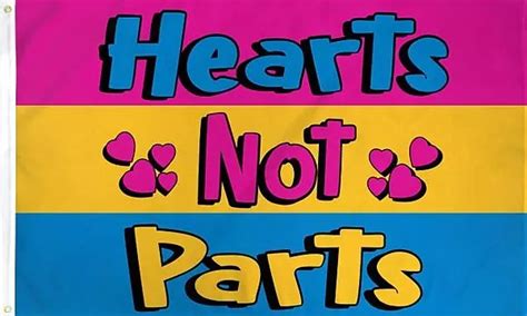 Hearts Not Parts Pansexual Flag El Cheapo Flags Hearts Not Parts Pansexual Flag El Cheapo Flags