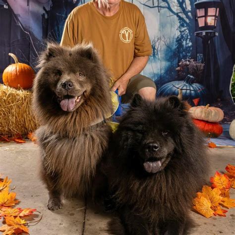 Kakos Market Celebrating 86 Years We Are So Happy To Celebrate Mrs Kakos 86th Birthday