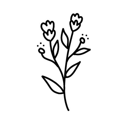 La Flor 9 Vector Premium