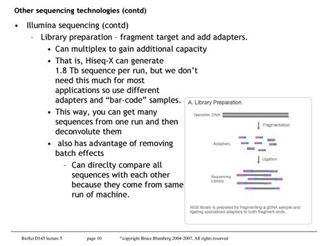 Biosci D145 Lecture 4 Bruce Blumberg Ppt Download