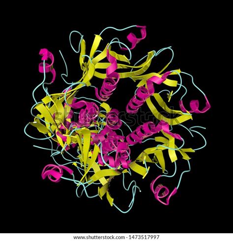 Crystal Structure Typhoid Toxin Produced By Stock Illustration 1473517997 Shutterstock