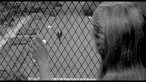 Lilith Blu Ray Jean Seberg