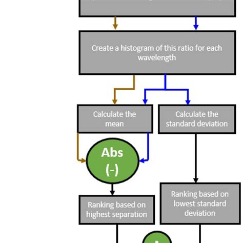 Flow Chart Describing The Hyperspectral Image Analysis Method Hiam Download Scientific Diagram