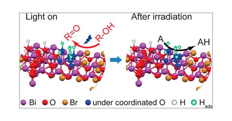 Efficient Solar Driven Hydrogen Transfer By Bismuth Based Photocatalyst