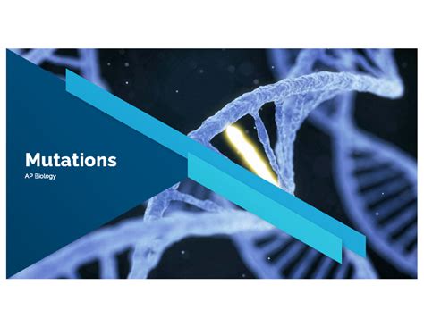Ap Biology Understanding Mutations And Their Effects On Genes