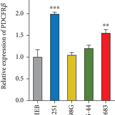 Differential Expression Of Pdgfrβ In The Clinical Tissue Samples And