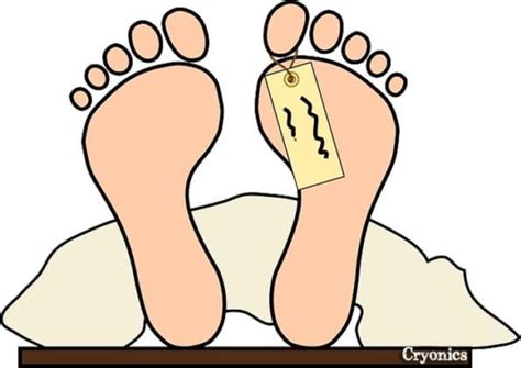 Top 23 Bioethical Issues In Scientific Advancements And Technologies