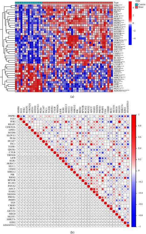 Construction Of A Novel Diagnostic Model Based On Ferroptosis Related