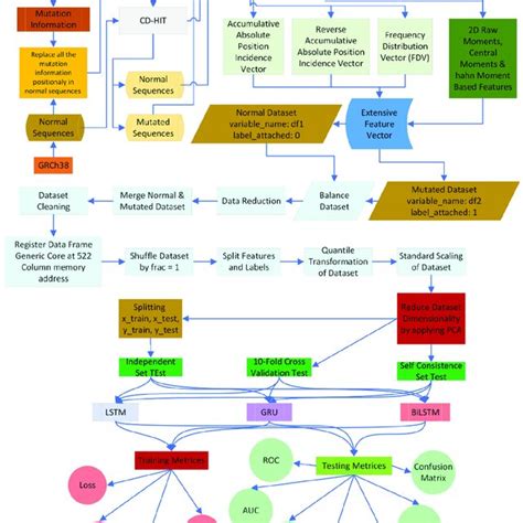 Methodology Of The Proposed Study For Identification Of Mutation To