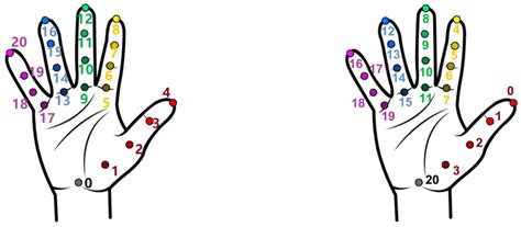 手部姿势估计 Hand Pose Estimation 综述 知乎