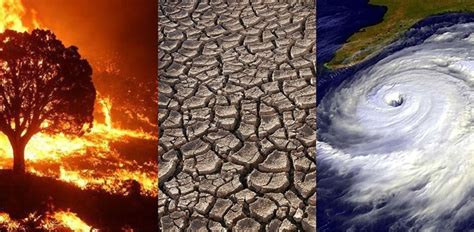 Adverse Effects Of Global Warming On Health Humans And The Environment