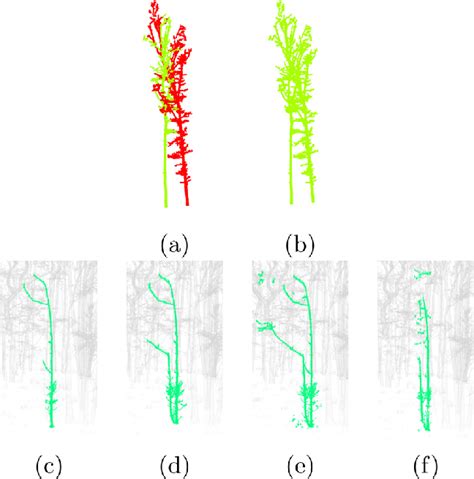 Examples Of Two Trees Extracted By Test Methods A And B