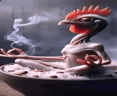 Chicken Meditating In Rice Meme Chicken Meditating In Rice Discover