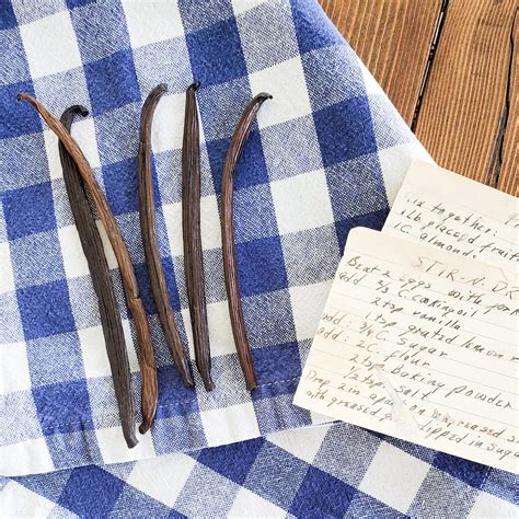 Vanilla Bean Pudding Indrivanilla