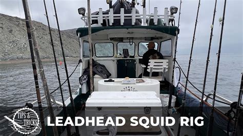 Leadhead Squid Rig For White Sea Bass A Deadly Technique Bdoutdoors