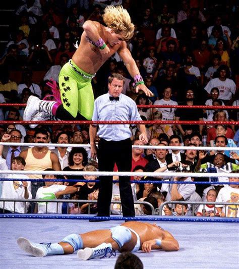 Summerslam 1989 Wwe Pay Per View Event Info