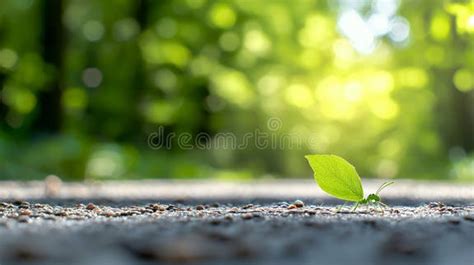 Green Leaf Emergence In Natures Embrace Stock Illustration