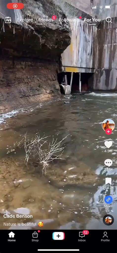 A Single Beaver Scrolller