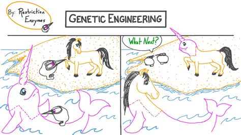 Lesson Genetic Engineering Nagwa Worksheets Library