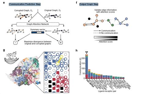10x空间转录组neural network on spatial transcriptomics 空间转录组英文翻译 csdn博客