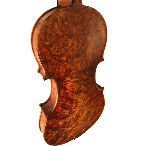 Burled Maple Violin 44 String Power Violin Store