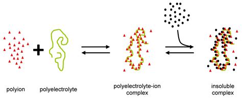 Applications Of Calorimetric Techniques In The Formation Of Protein Polyelectrolytes Complexes