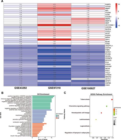 Identification And Functional Enrichment Analysis Of Robust Degs