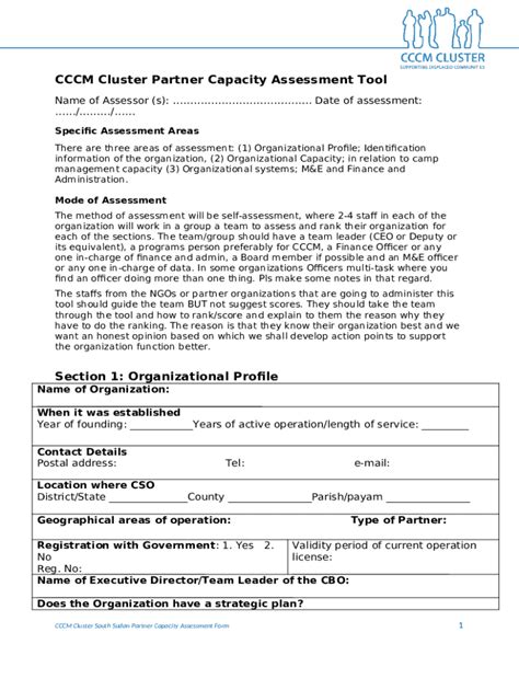 Cccm Cluster Partner Capacity Assessment Tool Alnap Doc Template