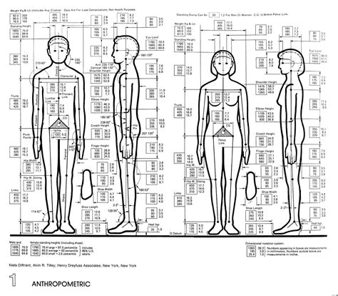 Human Dimension Human How To Plan