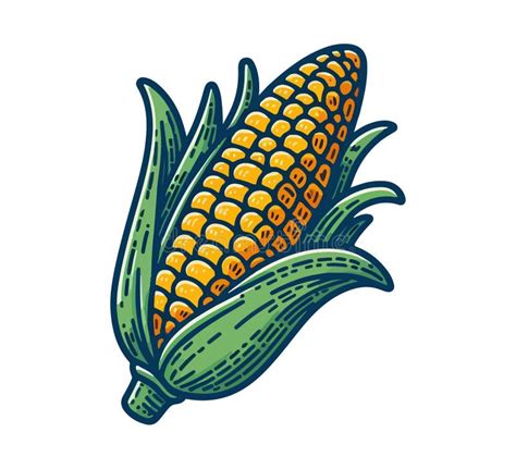 Corn Hand Drawn Vector Graphic Asset Vector Stock Vector Illustration Of Assets Symbol 339350921