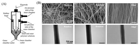 Bioactive Nanostructured Scaffold Based Approach For Tendon And Ligament Tissue Engineering
