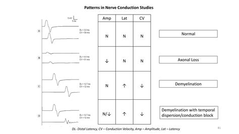 Nerve Conduction Test Results Interpretation Uuyqs