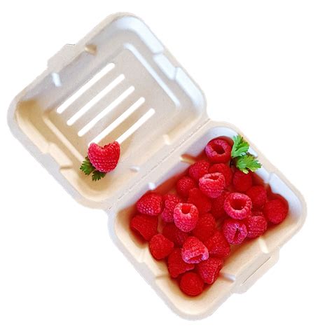 Fruit Container Kx Pack Your Direct Packaging Producer