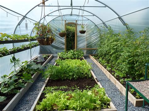 Vegetable Garden Design With Greenhouse At Melvin Elrod Blog