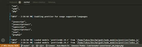 Cannot Format Files In VS Code Remote Environments WSL Docker Issue Prettier