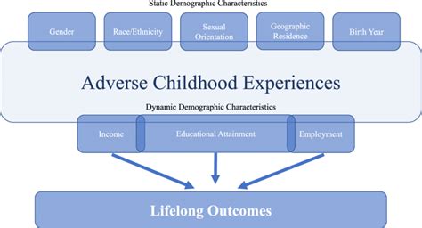 Shows The Conceptual Framework For Demographics Characteristics And