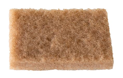 Scrubby Set Pops Shed