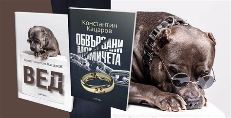Константин Кацаров - от музиката до книгите - ЛитДизайн