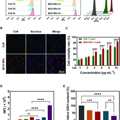 A Cellular Uptake Of I Ce6 And Ii Bch Nps At 1 2 And 4 H Via