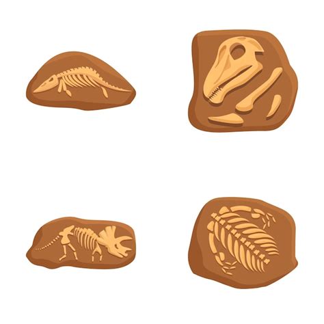 Colección De Cuatro Ilustraciones Detalladas De Fósiles Prehistóricos
